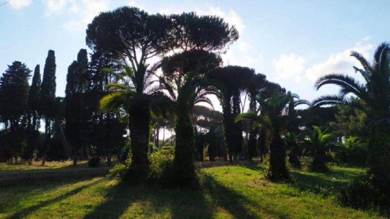 Lunedì 10 aprile Pasquetta al vivaio della Maccarese S.p.A.